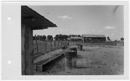 1695-65.tif - Parchman (Mississippi State Penitentiary) Photograph ...