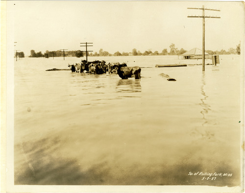 97179_photo.tif - 1927 Flood Photograph Collection - Digital Archives ...