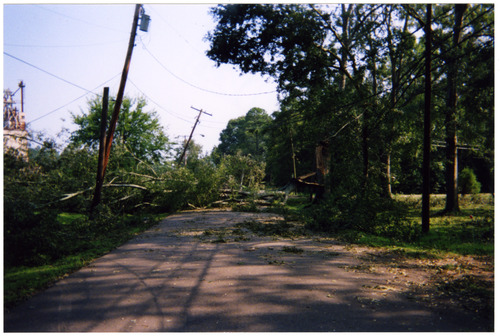 103560-01-photo.tif - Rogers (Jeff) Hurricane Katrina Photographs ...
