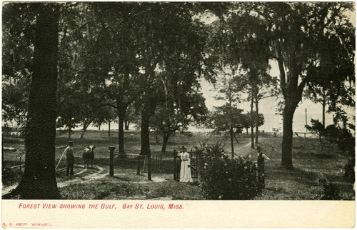 130596-1-postcard.tif - Randazzo (Randy) Collection | D...