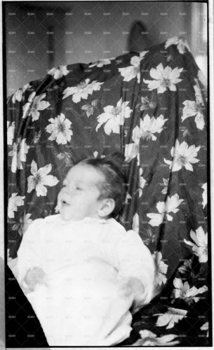 152249-photonegative-009.tif - Eudora Welty Collection Series 28. Welty ...